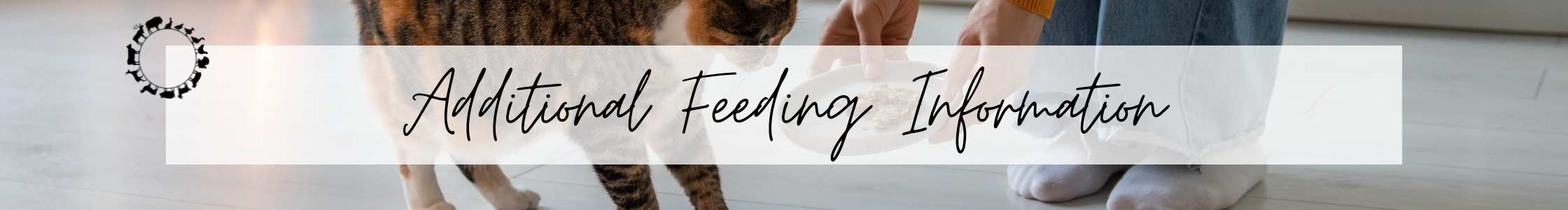 Raw Info for Cats | Hare Today